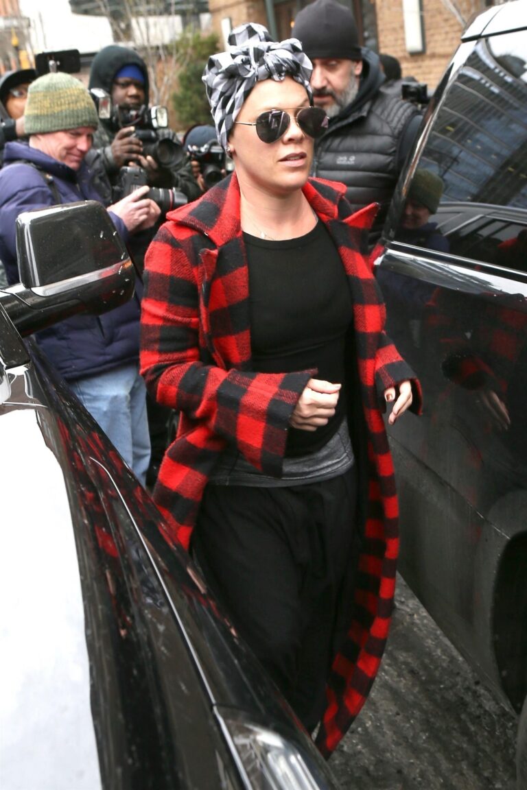 «What happened to the 2000s’ idol?»: 43-year-old Pink has gained weight ...