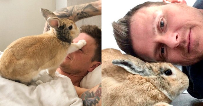 This man did not like animals at all, but when he meets this long-eared ...