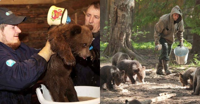 A wonderful and commendable move by this family: they saved about 200 ...