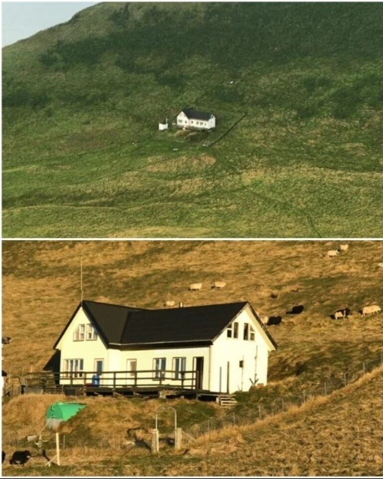What the world’s most remote and isolated house looks like will let no ...