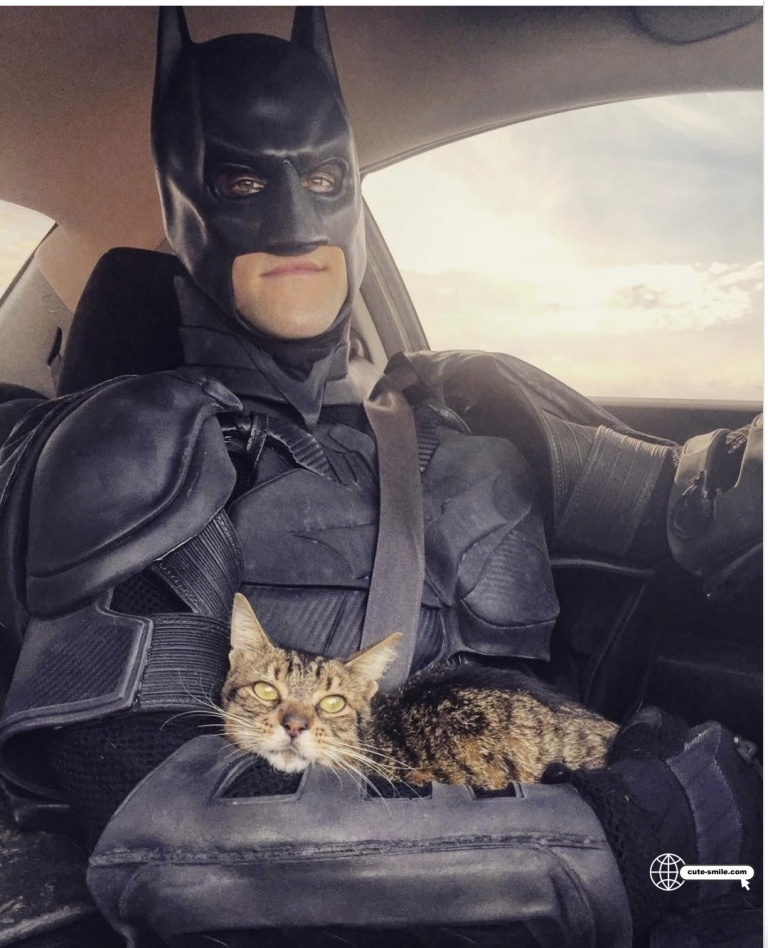 A real-life Batman is on a mission to save homeless animals in the U.S ...