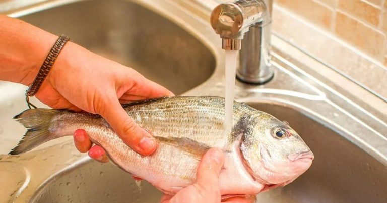 Should You Wash Fish Fillets Before Cooking? - Cute-Smile.com