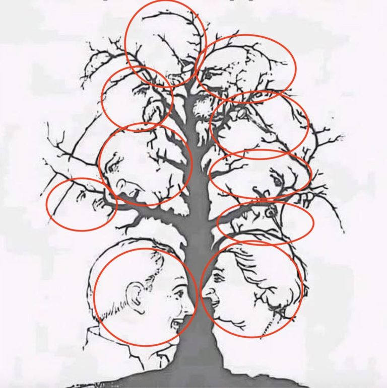 “How Many Faces Can You Spot in This Tree?" The Illusion That Has ...