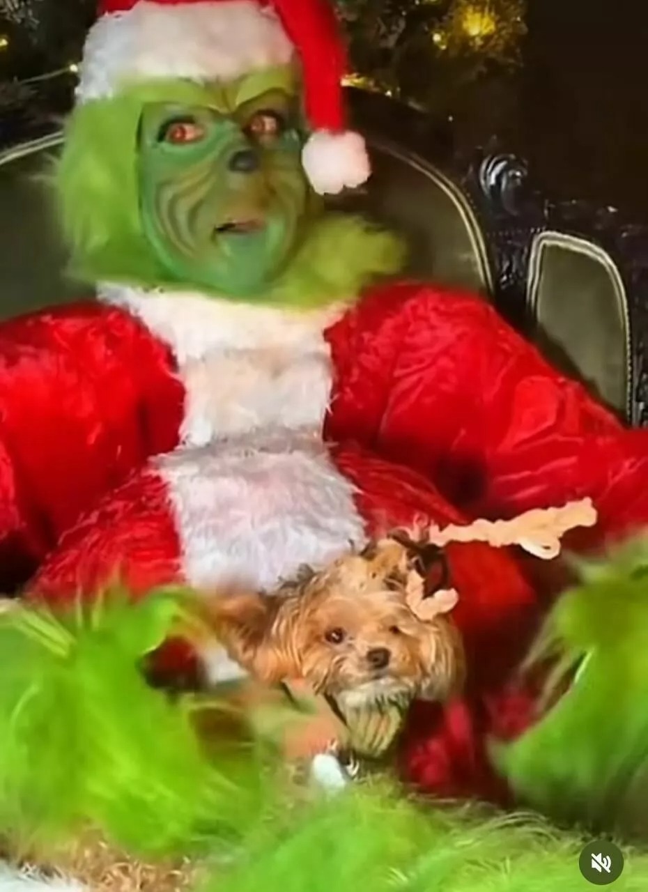 From Diva to Christmas Villain: Celine Dion Stuns Fans With a Grinch ...