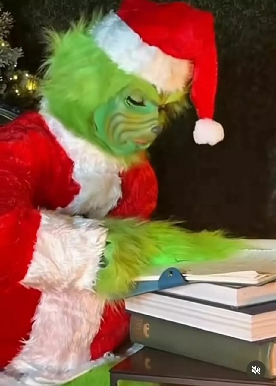 From Diva to Christmas Villain: Celine Dion Stuns Fans With a Grinch ...
