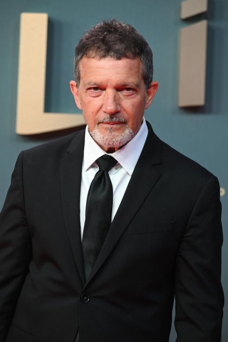 Antonio Banderas Shares Wedding Images as He Gets Emotional Over His ...